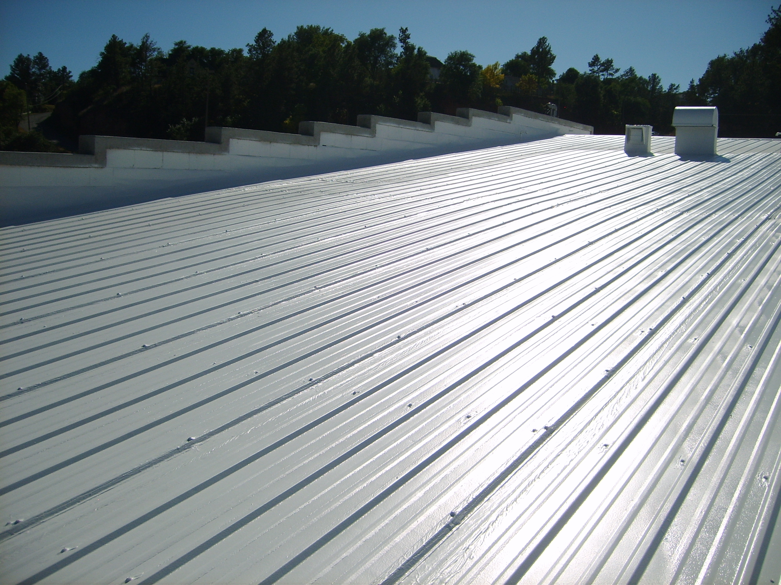 Clear Roof Panels For Metal Roofs